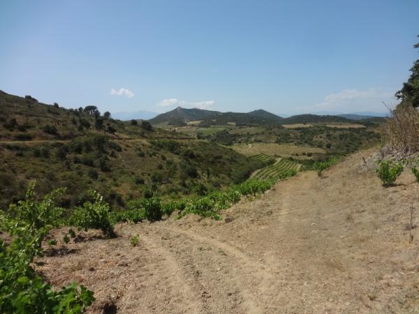 Matassa Visit