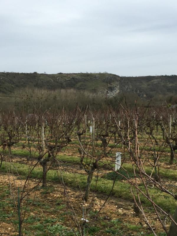 A Visit with Agnès et René Mosse