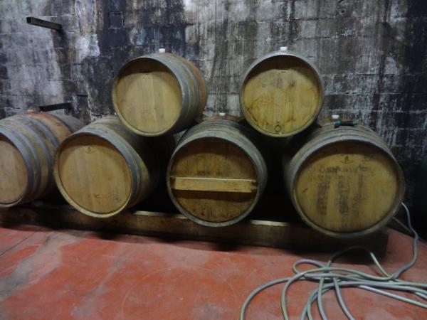 Matassa Visit