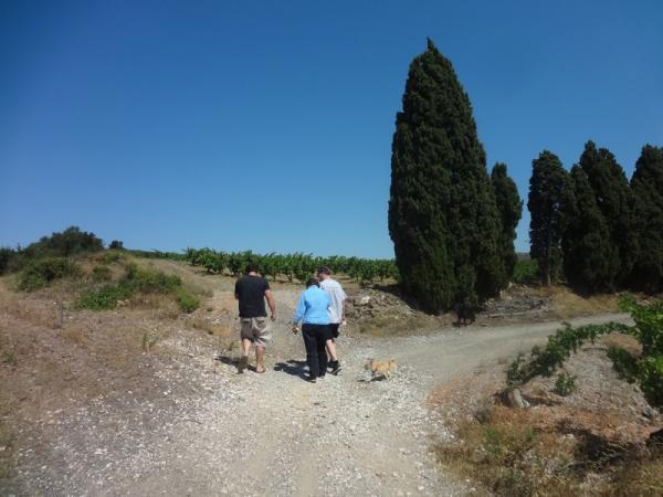 DOMAINE MATASSA - Unfined Wines | Natural Wine Site