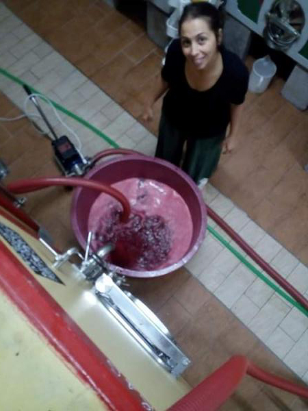2018 Marks A New Chapter in the Evolution of Maria-Ernesta Berucci's Winery