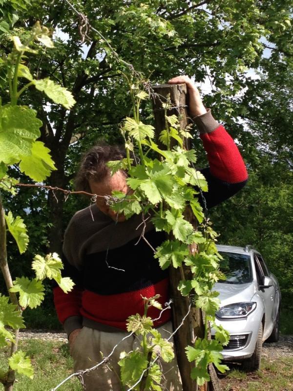 Remembering Stefano Belloti