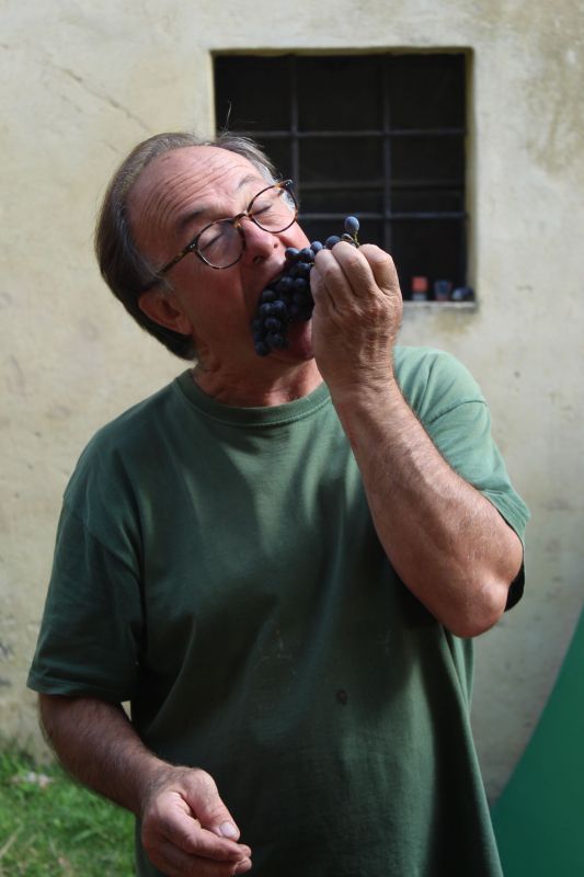 Louis/Dressner Selections - Harvest reports