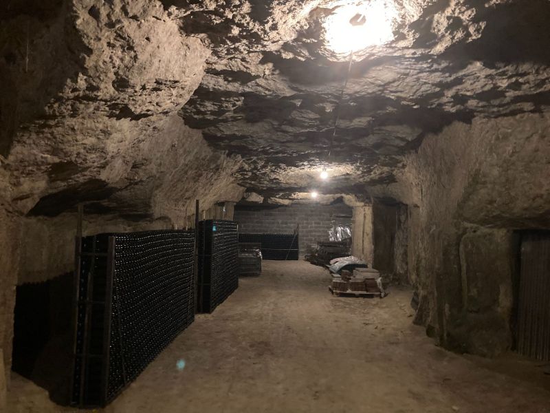 A Visit with Thomas Puechavy