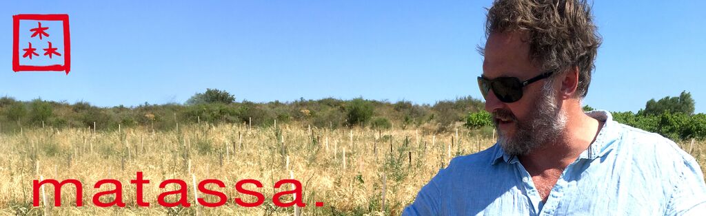 The Iconoclast, Singular Wines of Domaine Matassa