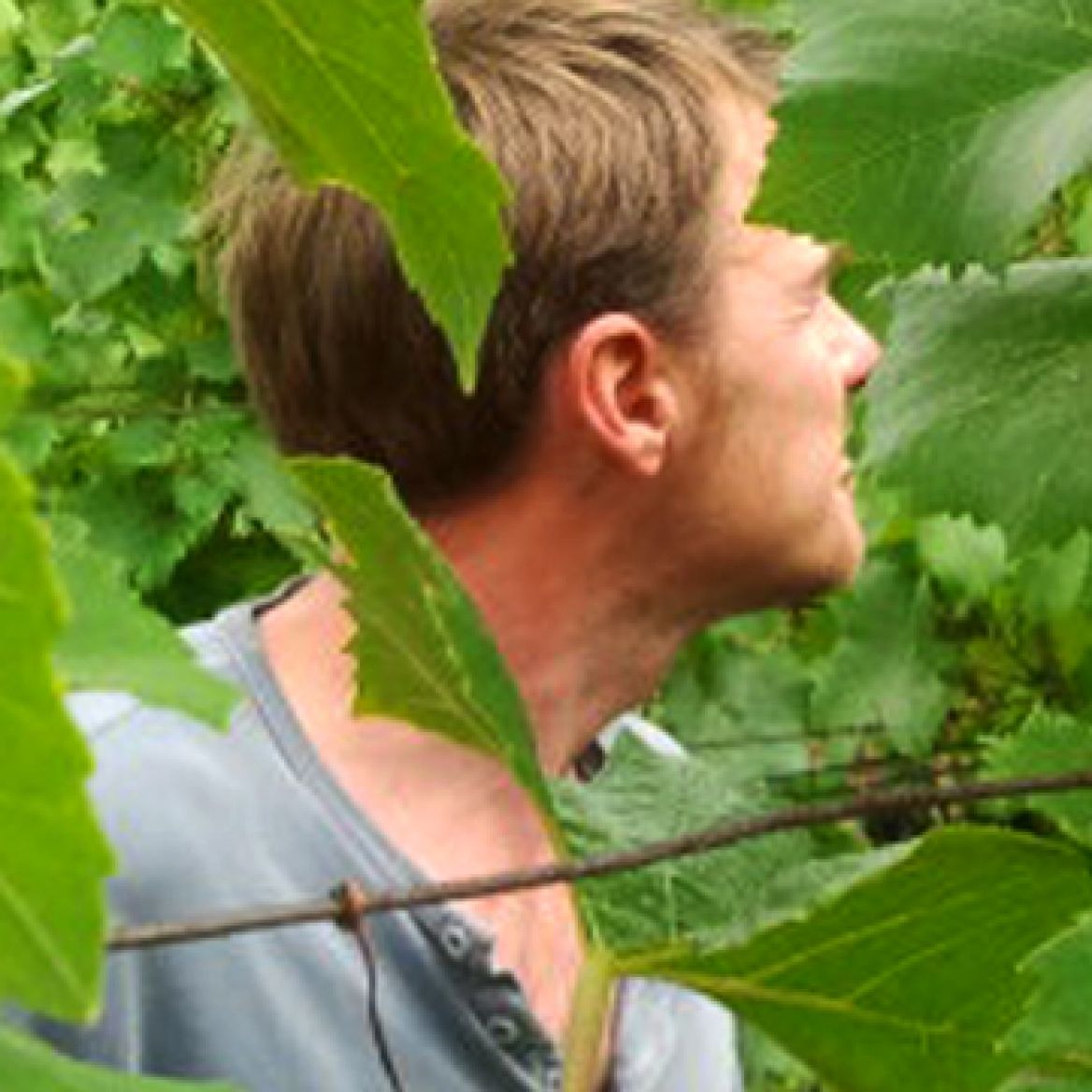 Louis/Dressner Selections