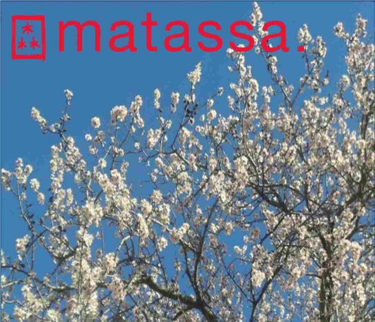 The Iconoclast, Singular Wines of Domaine Matassa